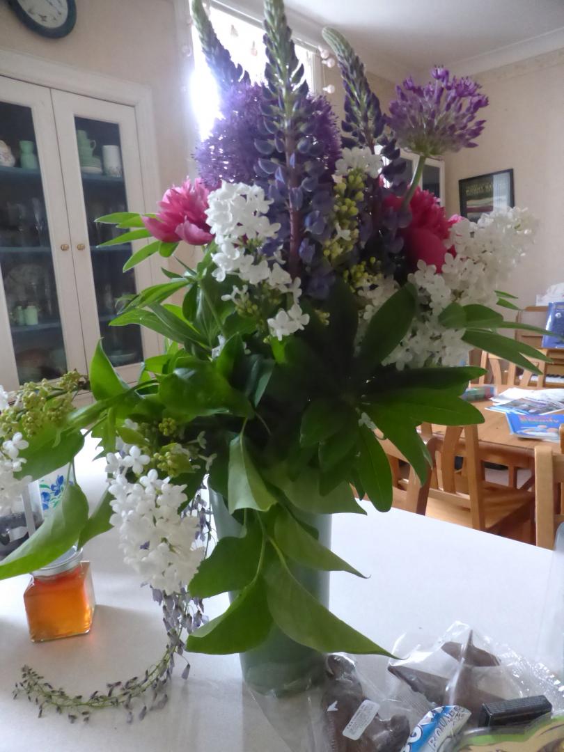 The Pearl Thief Comes to Perth – Elizabeth Wein